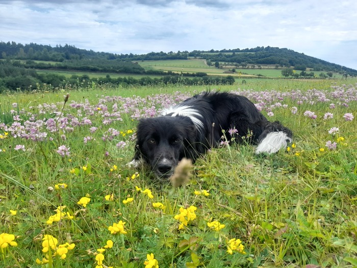 Článek s obrázky :: cz-e2